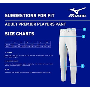 Mizuno Men's Premier Player's Pant (White, Medium)