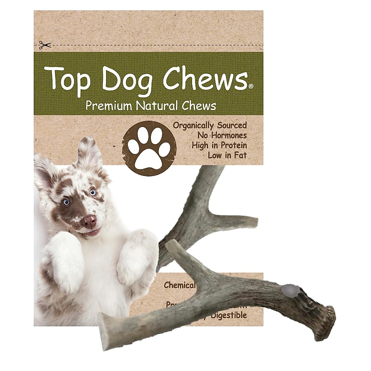 Top Dog Chews Large 6"-9" Long -Antler Dog Chew From Single Antler