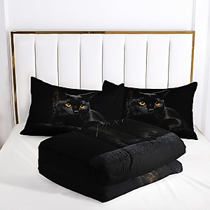 AILONEN 3D Black Cat Comforter Set Twin Size, Hidden Black Cat Bedding Set for Children Boys Girls,Black Theme Bed in a Bag,Soft Microfiber,1 Quilt and 2 Pillowcases for All Season