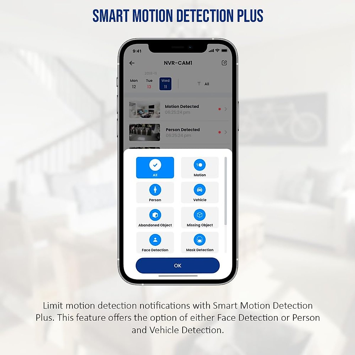 Lorex 4K Ultra HD Smart Deterrence IP 8MP Remote Access Dome Camera with Smart Motion Detection Plus Bundle (2-Pack) (2 Items)