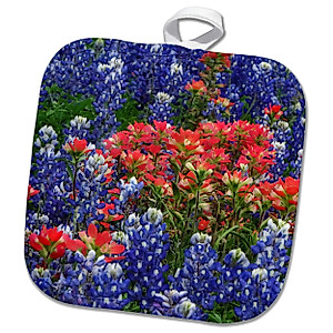 3dRose Texas Hill Country Wildflowers. Bluebonnets and Indian... - Potholders (PHL_332112_1)