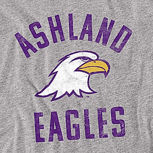 Ashland University Official Ashland Eagles Logo Unisex Youth T Shirt,Athletic Heather, X-Large