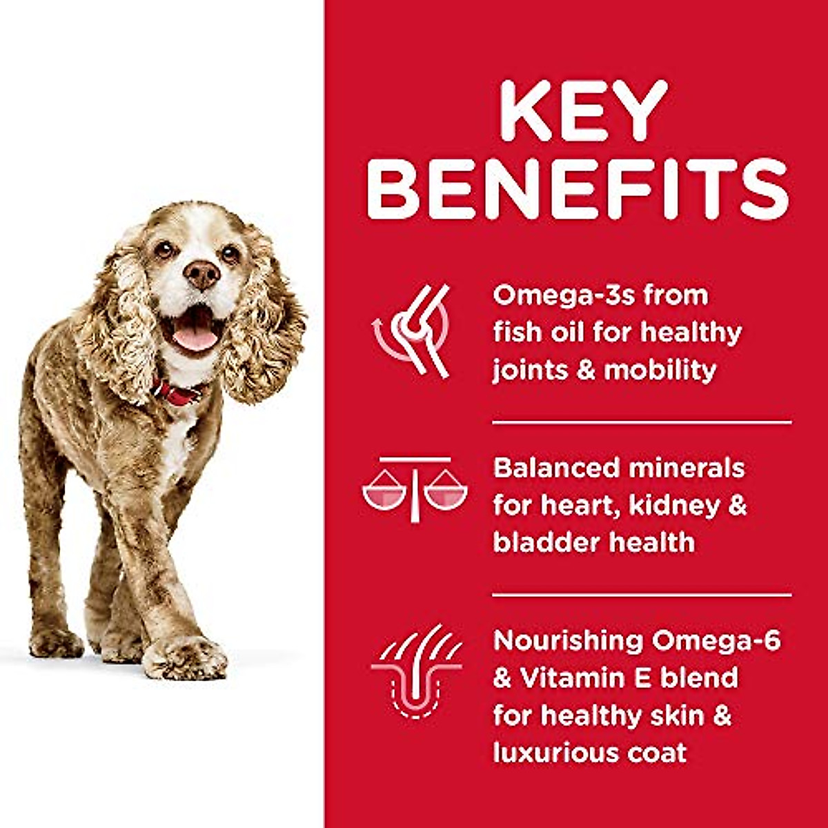 Hill's Science Diet Dry Food, Adult 11+ for Senior Dogs, Small Paws, Chicken Meal, Barley & Brown Rice Recipe, 15.5 lb Bag