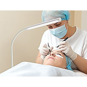 Daylight Company Unolamp, Standing Lamp for Living Room, Bedroom, Salon, Office, Touch Control, Flexible Arm, Sleek Design, Multipurpose