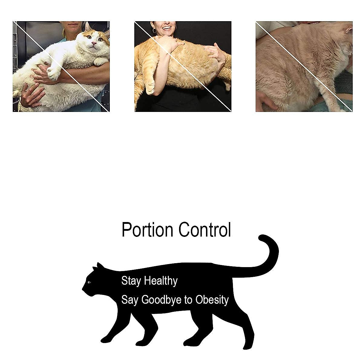 SKYMEE 8L WiFi Pet Feeder Automatic Food Dispenser for Cats & Dogs - 1080P Full HD Pet Camera Treat Dispenser with Night Vision and 2-Way Audio, Wi-Fi Enabled App for iPhone and Android