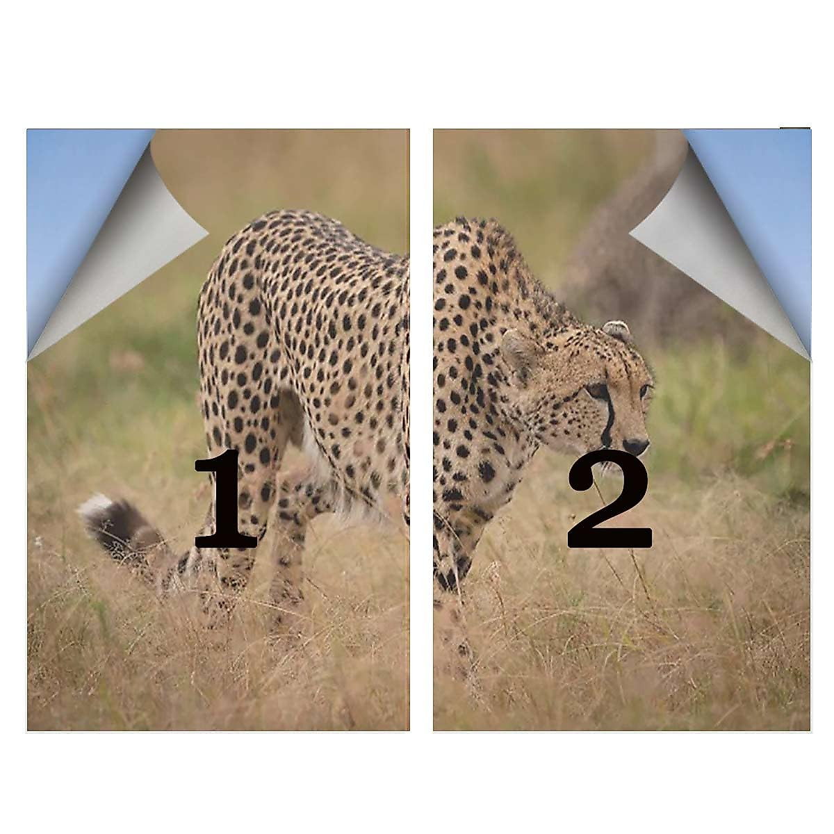 Window Film Privacy Window Film Frosted Glass Film No Glue Static Cling Glass Film Window Sticker for Bathroom Bedroom Living Room Leopard Cheetahs Mountain Scenery 27.6Wx39.4L-inch x2 Pcs