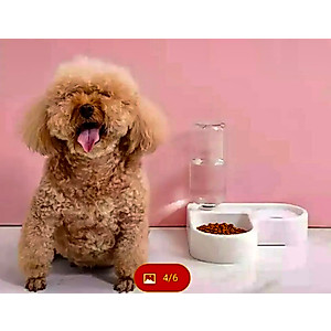 Refilling Water Bowl for Small Pets Food and Water Feeder Cats Dogs Rabbits