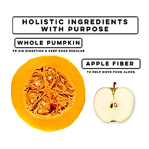 Nature's Diet Pet Dried Pumpkin Powder Digestive Support Natural Fiber for Firm Stool, Regularity (16 oz = 53 Servings)