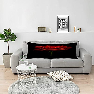 Body Pillow Cover,3D Beautiful Rose Print Romantic Red Black,Long Pillowcase with Zipper Soft Large Pillow Case Covers Cushion for Beding,Couch,Sofa 20"x54"