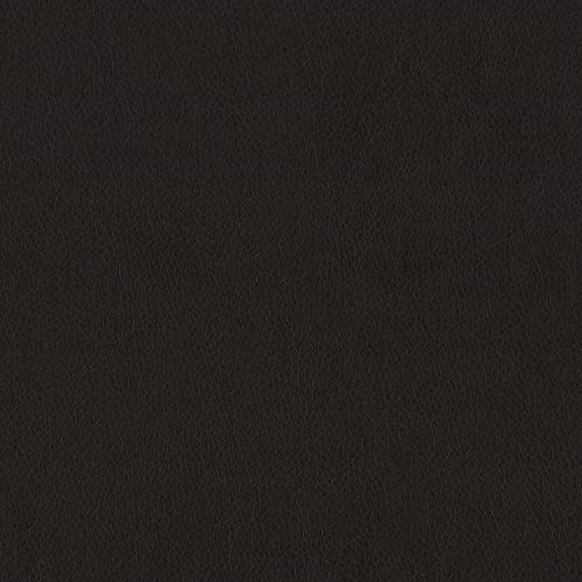 Lexicon Saffron Wall-Hugger Manual Double Glider Reclining Loveseat, Brown