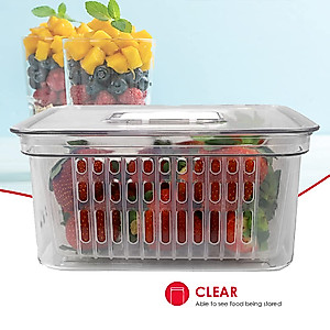 Home Basics Clear Fruit and Vegetable Fridge Storage Container Small Produce Saver with Lid and Removable Colander | Adjustable Air Vent on Lid