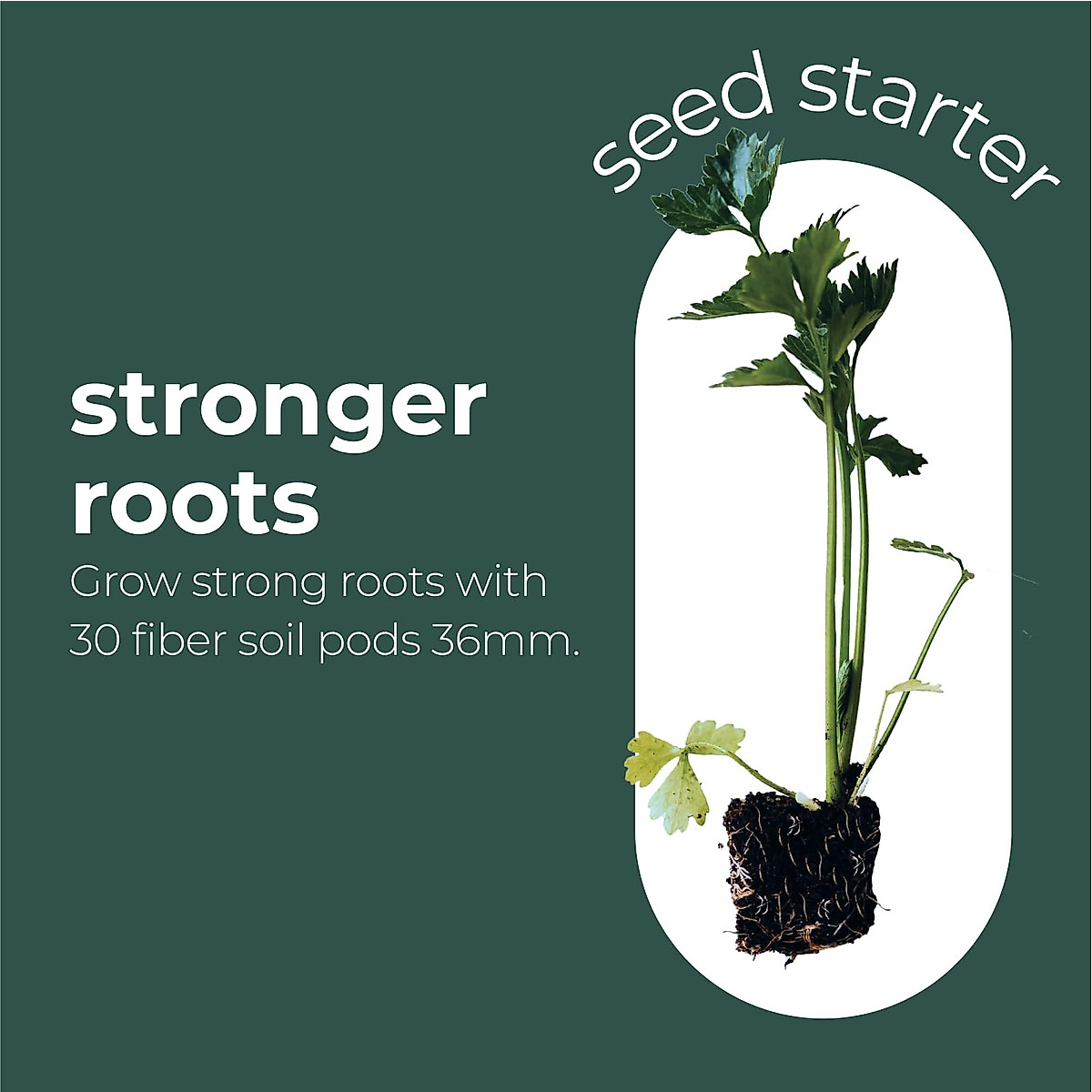 Window Garden Mini Greenhouse Seed Starter Kit – Reusable Seedling Trays - Indoor Germination Tray with Humidity Dome and Soil Pods - Windowsill Seeds Germinator - 30 Cells Starting Trays, 3 Pack