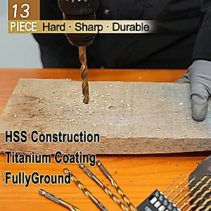 GMTOOLS 13 Pcs Titanium Coated Twist Hex Shank Drill Bit Set, 135 Degree Tip HSS Impact Drill Bit Set with Storage Case for Metal, Aluminum, Steel, Wood, Plastic, Quick Change Design 1/16" to 1/4"