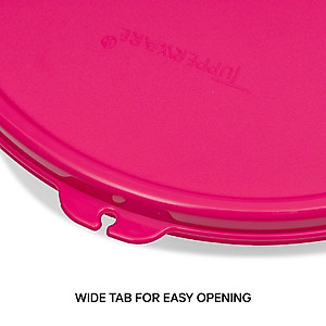 Tupperware Plastic Bowl (1000Ml, Multicolour) -4 Piece - Multicolor