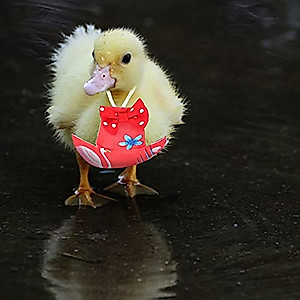 Balacoo Pet Chicken Diaper Adjustable Chicken Diaper Washable Pet Diaper Fashionable Duck Diaper with Bow Tie for Poultry Goose Duck Hen Chicken Red M