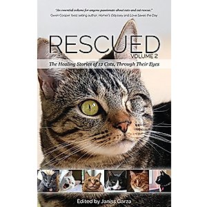 Rescued Volume 2: The Healing Stories of 12 Cats, Through Their Eyes