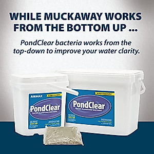 Airmax MuckAway Natural Beneficial Bacteria for Outdoor Ponds & Lakes, Muck, Sludge & Noxious Odor Solution, Easy to use Enzyme Tablets, Cleaner Beach & Shoreline, Fish, Pet & Wildlife Safe, 8 Scoops