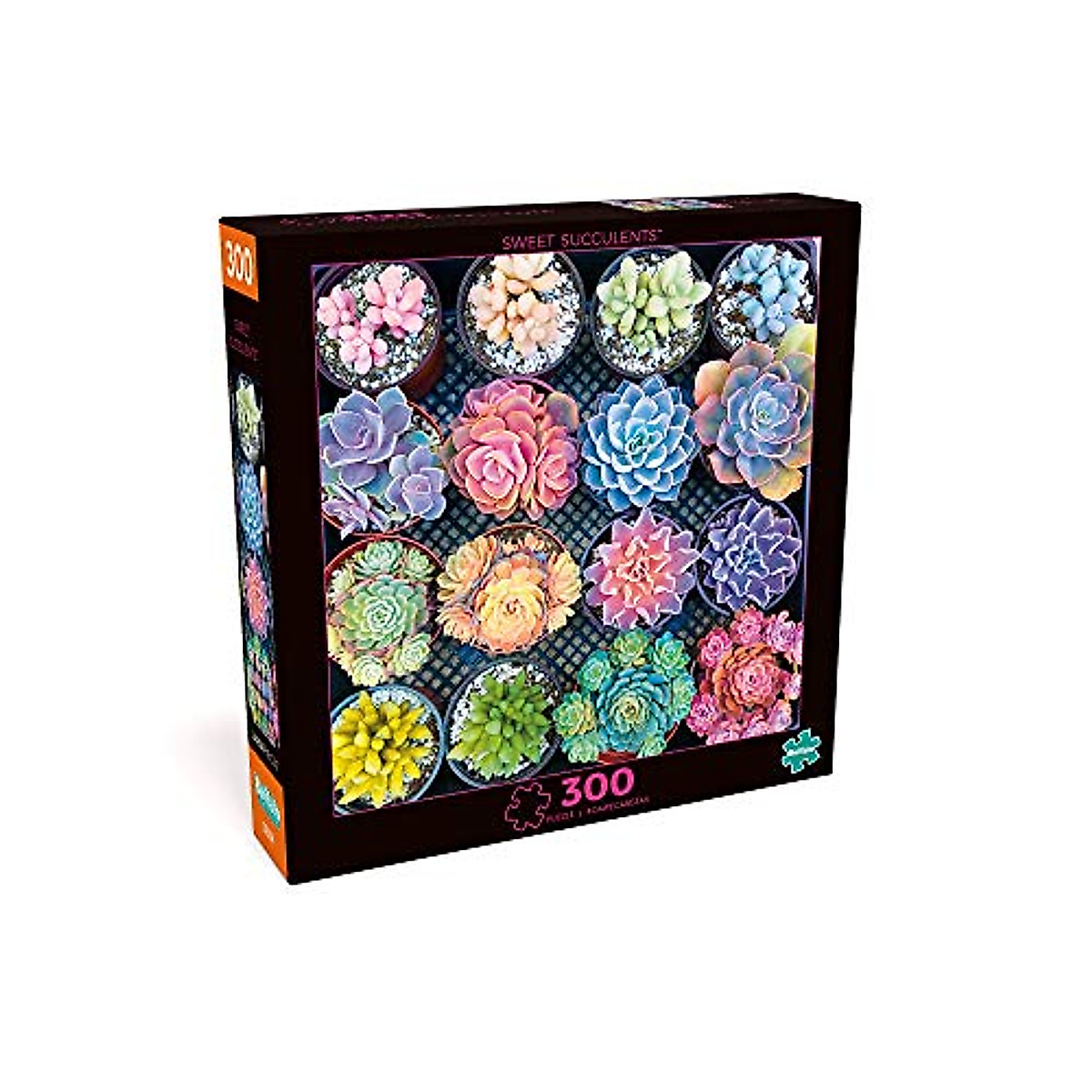 Buffalo Games - Sweet Succulents - 300 Large Piece Jigsaw Puzzle Multicolor, 18"L X 18"W