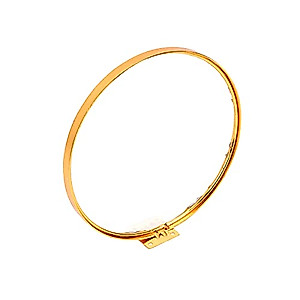 Modern Floating Glass Shelf with Golden Metal Ring for Plants, Books and Other Decorations, Transparent Hanging Shelves in Rooms, Corridors and Wall