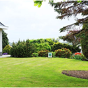 Clean Up After Your Dog Signs (4 Pack, 9 x 12") With Metal H-Stakes, Double Sided,No Dog Poop Lawn Signs,Outdoor & Sturdy