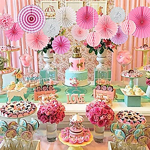 Hanging Party Decorations Set Tissue Paper Fan Paper Pom Poms Flowers and Honeycomb Ball for Wedding Birthday Baby Showers Engagement Party Decor Pink Kit