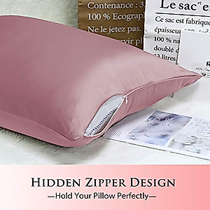 Silk Pillowcase for Hair and Skin with Hidden Zipper, Ravmix Both Sides 21Momme Mulberry Silk Cooling Pillow Case Standard Size 20×26inches, 1PCS, Dark Pink