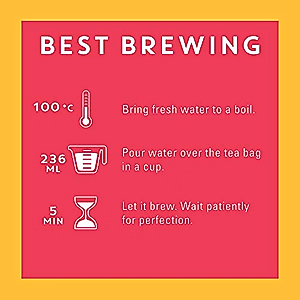 TAZO Passion Enveloped Hot Tea Bags Herbal, Caffeine Free, Non GMO, 20 count (Pack of 6)