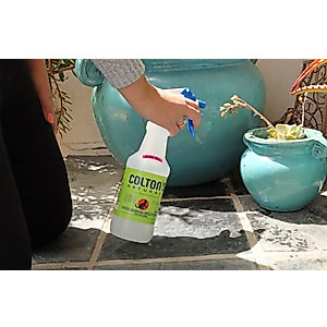 Cat Repellent Outdoor Spray Indoor 32 OZ 100% Organic & Natural Yard Furniture Repellant (32)
