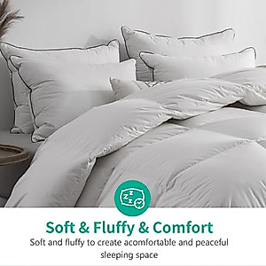 APSMILE Queen Size Feathers Down Comforter - Ultra Soft All Seasons 100% Organic Cotton Feathers Down Duvet Insert Medium Warm Quilted Bed Comforter with Corner Tabs (90x90,Ivory White)