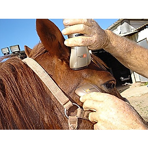 B-Cure Cold Laser Therapy Device for Dogs, Cold Vet Device for Pets & Infrared Light Therapy for Pain Relief, Muscle & Joint Pain, Suitable for Dogs, Cats, Horses and Other Animals