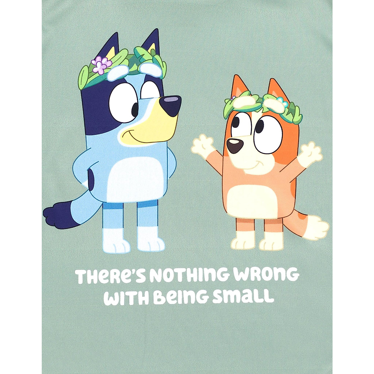 Bluey Bingo Toddler Girls T-Shirt and Leggings Outfit Set Green/Blue 4T