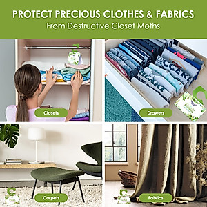 MothMag Moth Traps for Clothes, Closets, Fabrics, and Carpets, Clothing Moth Traps, Clothes Moth Traps, Closet Moth Traps, Moth Pheromone Traps, Extra-Strength Adhesive Glue Clothes Moth Trap, 6 Pack