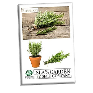 Rosemary Seeds for Planting, 100+ Heirloom Seeds Per Packet, (Isla's Garden Seeds), Non GMO Seeds, Fragrant Herb, Botanical Name: Salvia rosmarinus, Great Home Garden Gift