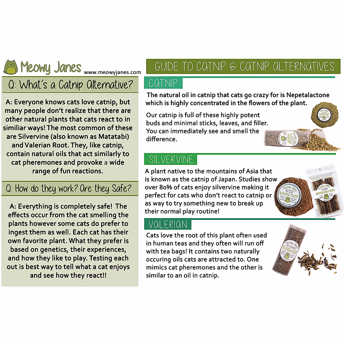 Meowy Janes Matatabi Chew Sticks - An All Natural Silvervine Cat Toy and Cat Treat - Catnip Alternative