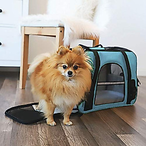 Paws & Pals Airline Approved Pet Carriers with Fleece Bed For Dog & Cat, Large, Mineral Blue