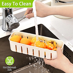 Salad Bar Containers for Fridge, 4 Compartment Divided Serving Tray with Lid & Handle for Fridge Fruit Charcuterie Storage, Veggie Tray Drainer Container Berry Snackle Box Container, BPA-Free