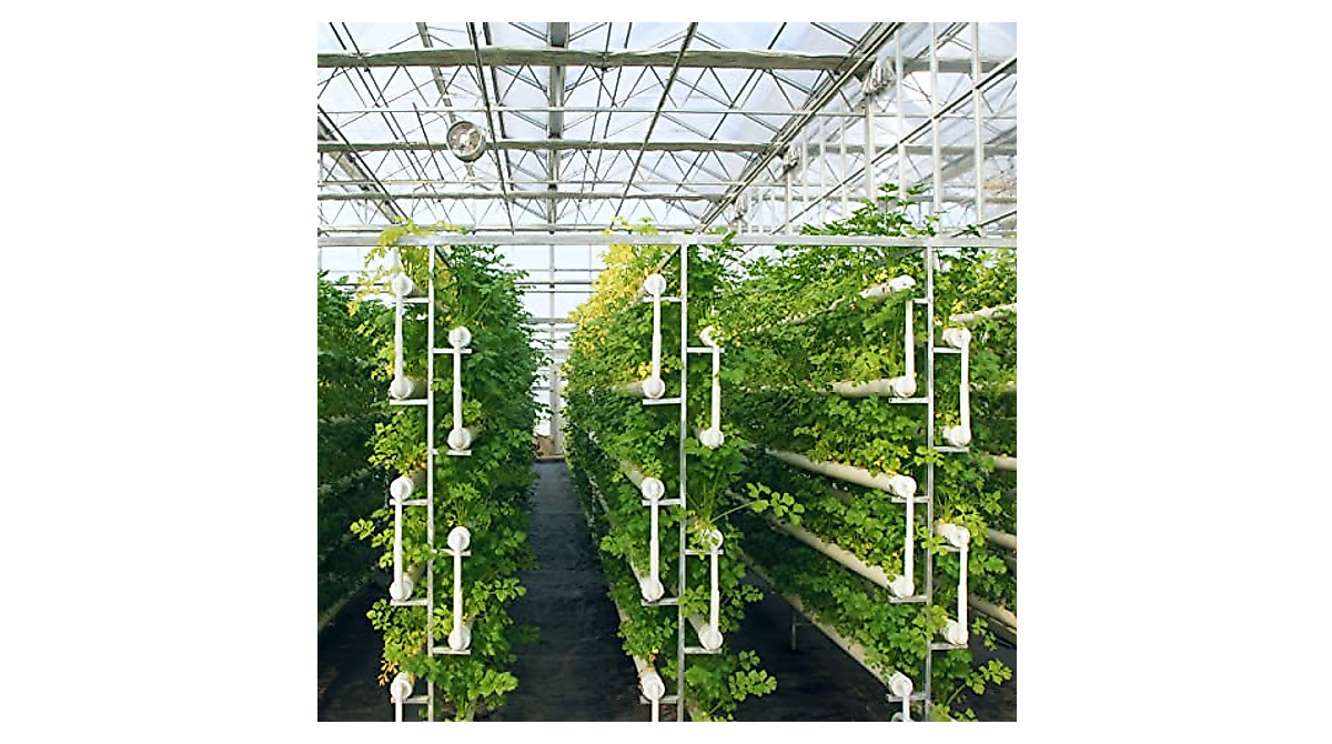 216Grow Hydroponics Nutrient: Boost Structural & Foliar Plant Growth