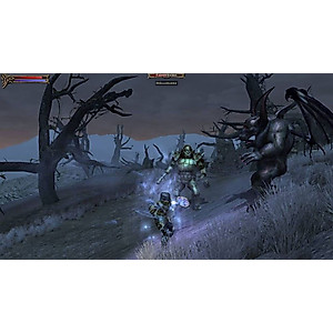 Two Worlds: Epic Edition - PC