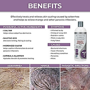 Veterinary Formula Clinical Care Antiparasitic & Antiseborrheic Medicated Dog Shampoo, 16 oz – Paraben, Dye, Soap Free – Hydrating and Antifungal Shampoo for Dogs, White