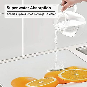 Fresh oranges Printed Drying Mat For Kitchen Ultra Absorbent Microfiber Dishes Drainer Mats Non-Slip Silicone Quick Dry Pad - 18 X 16inch