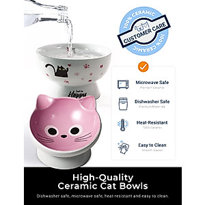 AISBUGUR Ceramic Cat Bowls Set of 2, Elevated 15 Tilted Design for Indoor Cats, Large Capacity, Easy to Clean, Non-Slip Base, Cute Pattern,Pink