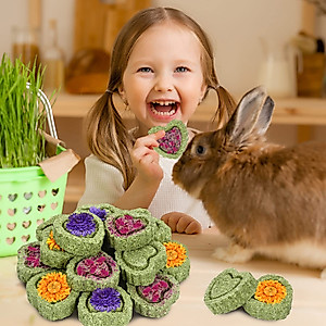 SYWHXY 20PCS Bunny Chew Toys, Rabbit Toys for Bunny's Teeth Organic Timothy Hay Cakes for Rabbits, Chinchilla, Hamster, Guinea Pig Reliable Rabbit Chew Toys for Teeth
