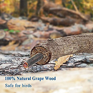 Mogoko Natural Bird Perches U-Shaped Grapevine Bird Cage Stands Parrot Cage Accessories for Parrots, Parakeets Cockatiels, Conures, Macaws, Love Birds, Finches