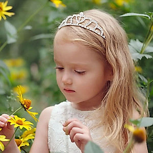 Chuangdi 16 Pcs Bulk Girls Tiara Crown Silver Princess Rhinestone Headband Crystal Wedding Tiara for Kid Women Birthday Party(Lovely Style)