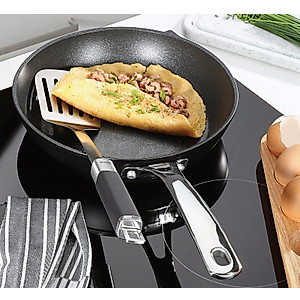 Spring Meridian Intense Pro Nonstick Recycled Aluminum Fry Pan, 8-Inch