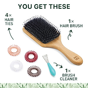 Natural Boar Bristle Hair Brush for Women, Men, Kids; Dry and Wet Detangling Hair Brush Gently Enhances Shine, Smooths Frizz and Prevents Breakage in Fine and Straight, Thick and Curly Hair (paddle)