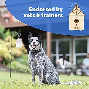 PetSafe Outdoor Ultrasonic Bark Control - Viral on TikTok - No Barking Deterrent for All Dog Sizes - Up to 1/4 Acre Coverage - Weatherproof - Great for Backyards - Bird House Design