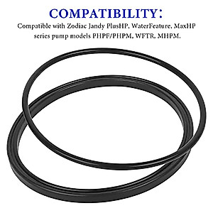 Etotel R0449100 Lid Seal with O-Ring Replacement Kit - Compatible with Zodiac Jandy Pool and Spa Pumps for Zodiac Jandy PlusHP WaterFeature MaxHP Series Pool Pump - 1 Pack(2 Pieces)