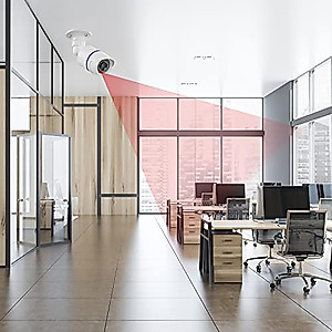 WALI Dummy Fake Camera, Surveillance Security CCTV Dome Camera, Indoor Outdoor Camera, with One LED Light, Security Alert Sticker Decals (TC-W2), 2 Pack, White