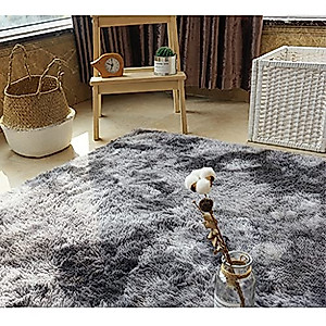 Soft Fluffy Area Rug,Super Cozy Plush Shaggy Rug for Living Room Bedroom Home Decor, Fuzzy Carpet for Kids Girls Nursery Dorm (Dark Gray, 4x6 Feet)